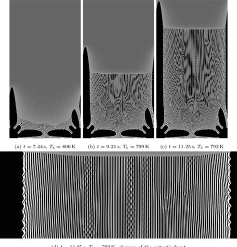Figure 18 From Simulation Of Dendritic Eutectic Growth With The Phase Field Method Semantic