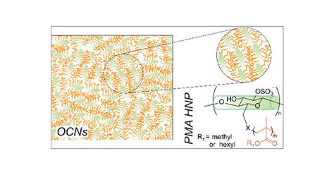 One Component Nanocomposites Based On Polymer Grafted Cellulose