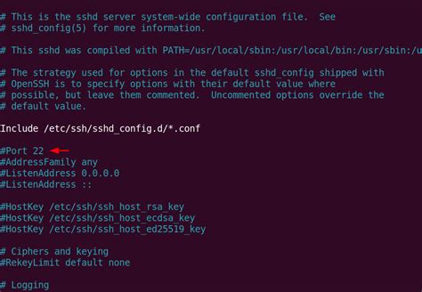 Ssh Penetration Testing Port 22