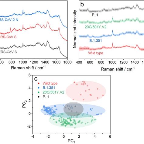 A Sers Spectra Of The Sars Cov 2 N Protein Sars Cov S Protein And Download Scientific