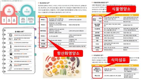 식이섬유의 역할과 중요성 당화혈색소 감소와 더 나은 장내 환경