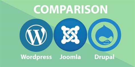 custom software development services