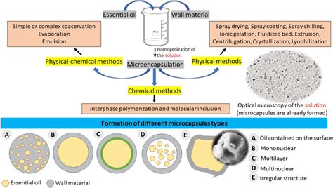 Simplified Scheme Of Microencapsulation Methods Of Essential Oils And Download Scientific