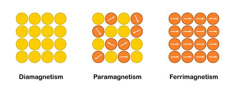 Vector Illustration Of Types Of Magnetism Diagram Paramagnetism Ferrimagnetism And