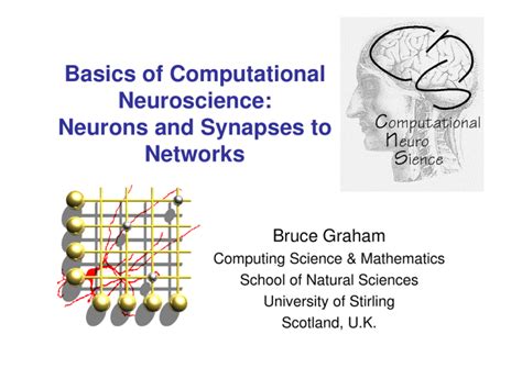 basics of computational neuroscience neurons and synapses to