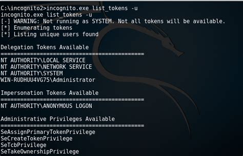 Token Manipulation Penetration Testing Lab