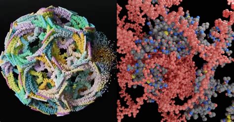 New Addon For Molecular Working With Structural Biology And Molecular Data In Blender Latest