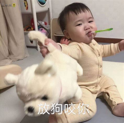 黄夏温表情包 图源网络侵删 堆糖，美图壁纸兴趣社区