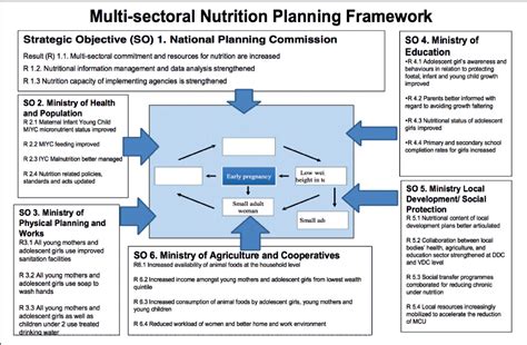 Figure 1 From A Case Study On The Factors Which Influenced A Hiap