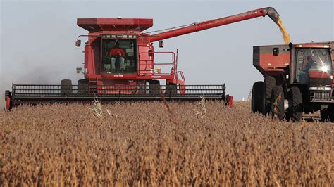 중국 미국산 일부 대두·돈육 추가 관세 면제