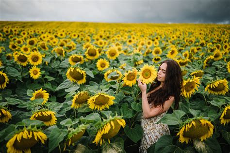해바라기 밭에 서 있는 젊은 아름 다운 여자입니다 여자는 해바라기를 들고 자연을 즐기고 웃고 있다 일출이나 일몰에 쾌활한 소녀의 맑은 사진 여름철에 순간을 즐기십시오 25