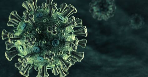 Coronavirus La Vitamina C Es Crucial Para Una Respuesta Inmune