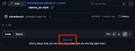 How To Add A Video File On Github Pages Website Html