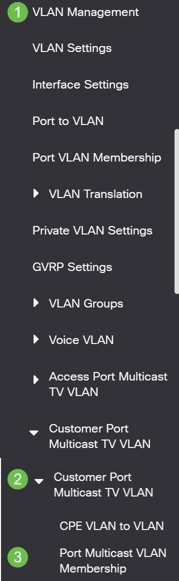 Configure Access Port Multicast TV Virtual Local Area Network VLAN Membership On A Cisco