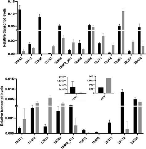 Relative Transcript Levels Of Ugt Candidates In Root And Leaf Tissue Of
