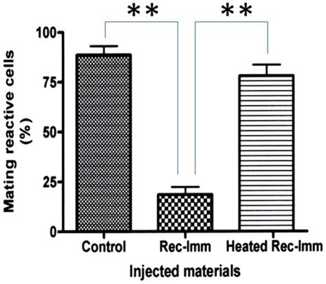 Microorganisms Free Full Text Immaturin Nuclease As A Model System For A Gene Programmed