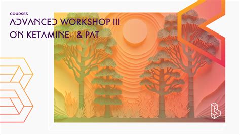 Advanced Workshop Iii On Ketamine And Psychedelic Assisted Psychotherapies