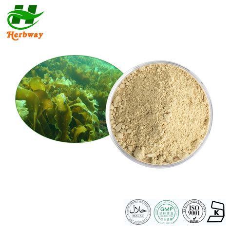 Herbway Algae Extract Seaweed Bladderwrack Extract Brown Algae Extract