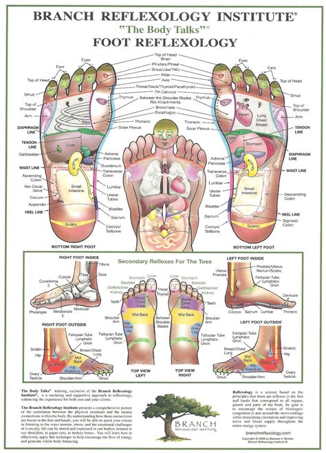 36 Free Printable Foot Reflexology Charts Word Artofit