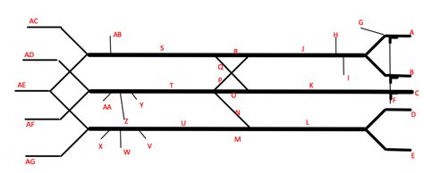 Brachial Plexus Branches Diagram Quizlet
