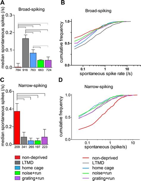 Sensory Experience During Locomotion Promotes Recovery Of Function In Adult Visual Cortex Elife