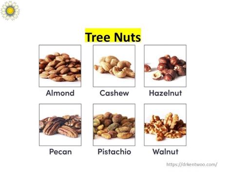 Tree Nut Allergy Foods To Avoid Cross Reactivity Hidden Sources