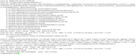 Phantomjs Exception Error On Linux64bitlenium