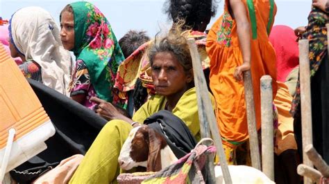Пакистаны нийт нутаг дэвсгэрийн гуравны нэг хэсэг усанд автлаа Мэдээ мэдээлэл Монголын