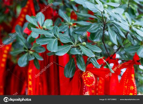 Zhuji Zhejiang Province China June 2023 Colorful Tibetan Prayer Flags Stock Editorial Photo