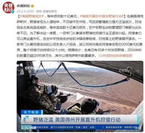 野猪成灾每年损失数十亿美元美国开展空中猎杀野猪行动 数量 公司 威胁