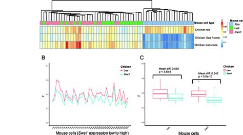 Gene Expression Correlation Between Mouse And Chicken Photoreceptors