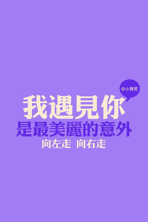 我遇见你 是最美丽的意外
