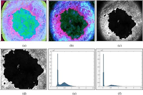 XOR Operation Effects On Sample Images A Enhanced Image B XOR Download Scientific Diagram