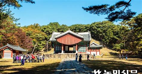 힐링만점 가을길 왕의 무덤 시간여행 문이 열리다