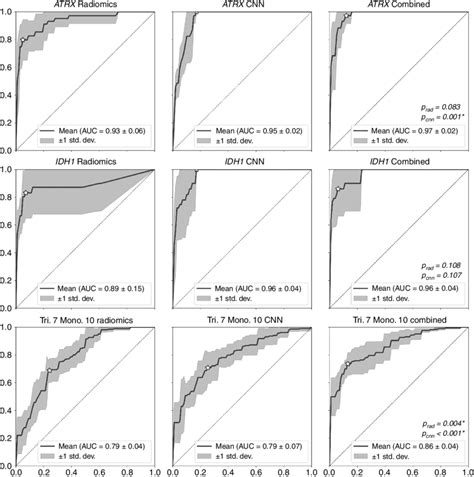 Fivefold Cross Validation Receiver Operating Characteristic Curves For
