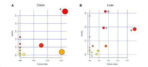 Pathway Analysis Using Metaboanalyst™ 5 0 A The Colon A Download Scientific Diagram