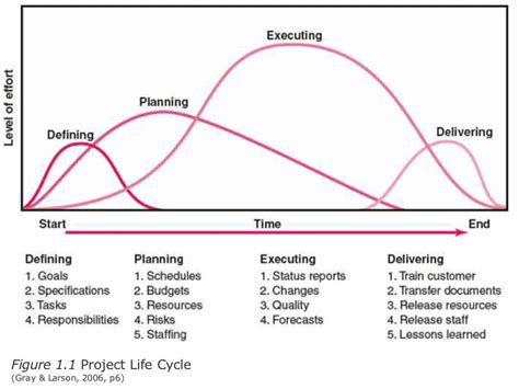 Life Cycle Graph