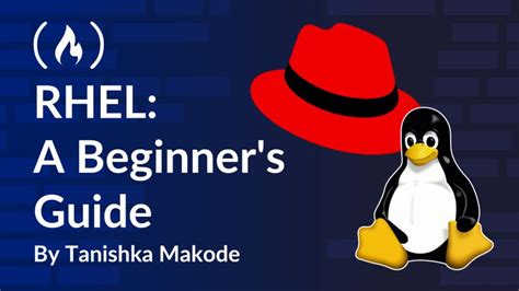 The Linux Operating System Powers Many Of The Worldss Servers Freecodecamp