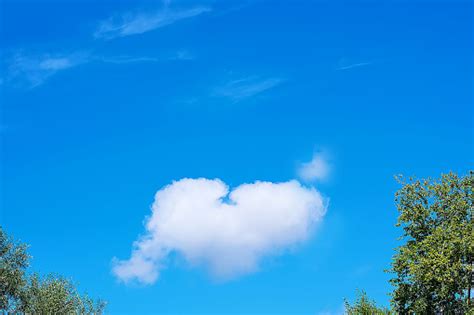푸른 하늘에 하트 모양의 구름 공간을 복사합니다 사랑 로맨스와 발렌타인 데이의 개념 0명에 대한 스톡 사진 및 기타 이미지 0명 기상학 기후 묘사 Istock