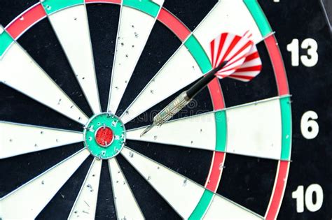 Dartboard Against Old Tree Background Two Darts Hit The Target Of A