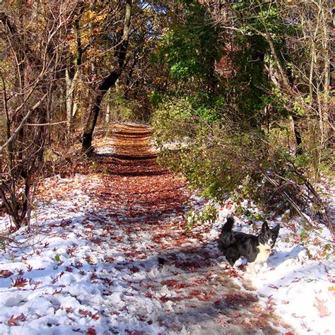 Readers Sent Us Pandemic Photos In 2020 Heres How Their Lives Look