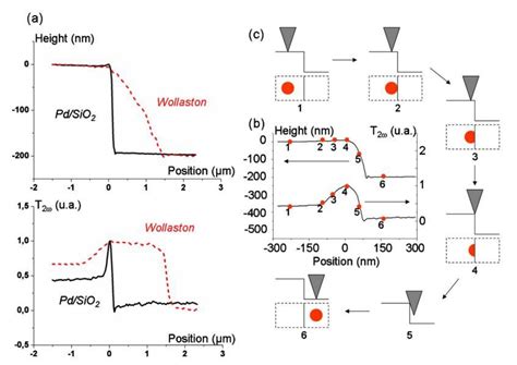 Step Method For Scanning Hot Probe Tip To Sample Thermal Exchange Download Scientific Diagram