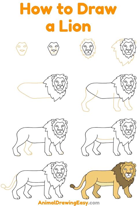 How To Draw A Lion Step By Step Tutorial