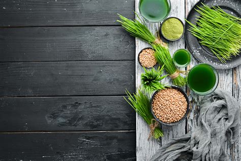 녹색 새싹 밀 및 밀 곡물에서 주스 검은색 배경입니다 마이크로 그린 건강 한 음식 평면도 텍스트를 위한 여유 공간 0명에 대한 스톡 사진 및 기타 이미지 Istock