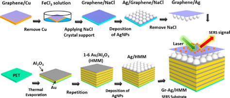 Schematic Fabrication Process Of The 3d Graghmm Sers Substrate The Download Scientific