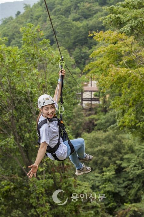 용인자연휴양림 짚라인 오픈