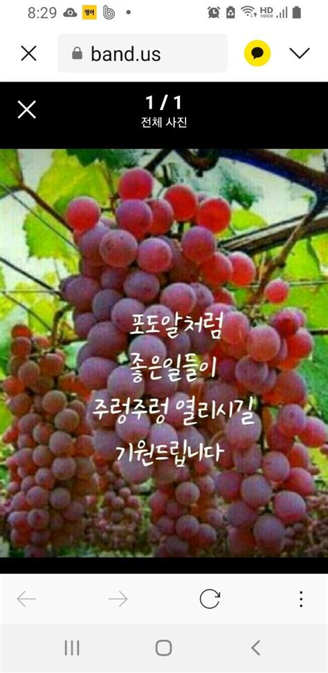 좋은글 모음집 2 Band