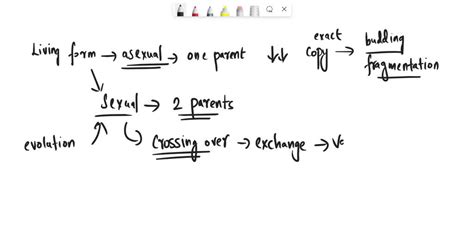 solved why does sexual reproduction speed up evolution hint think about sexual reproduction