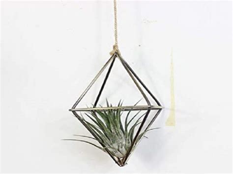5 Octahedron Examples In Real Life Studiousguy