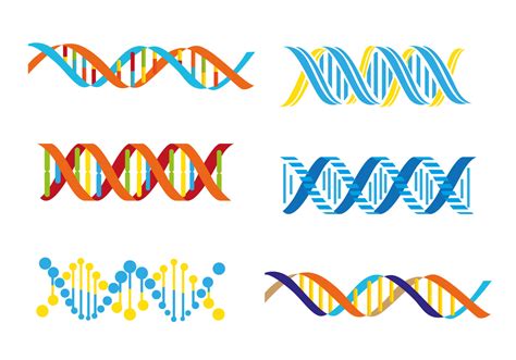 Dna Helix Vector At Collection Of Dna Helix Vector Free For Personal Use